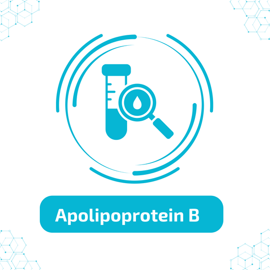 Apolipoprotein B – 1st Optimal